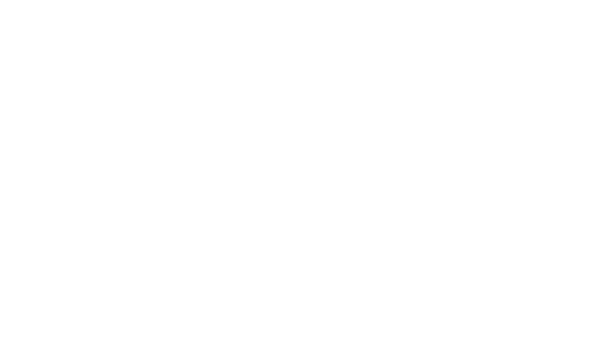 MARTTI - Cross Cultural Communications